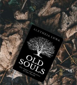Old Soul eBook Bundle • LonerWolf Shop