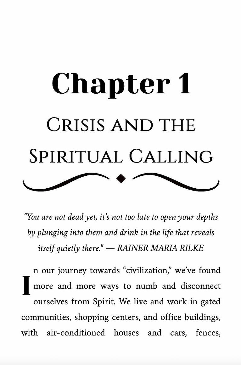 The Spiritual Awakening Process (eBook Version) • LonerWolf Shop