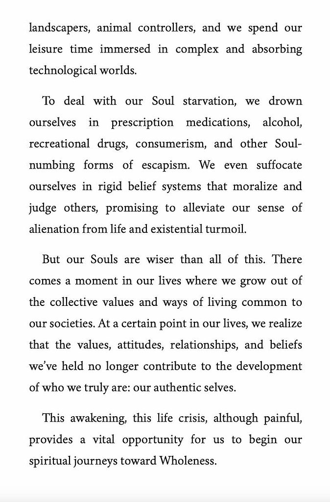 The Spiritual Awakening Process (eBook Version) • LonerWolf Shop