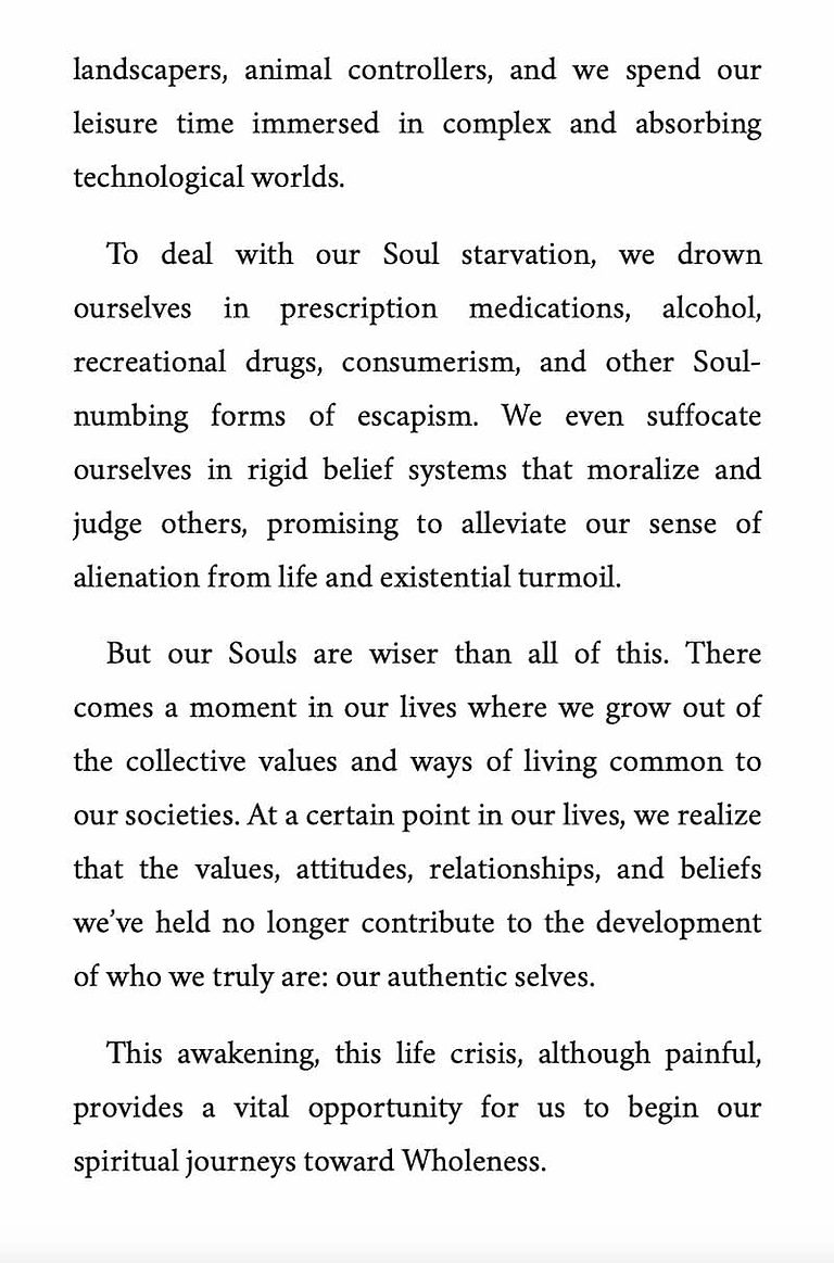 The Spiritual Awakening Process (eBook Version) • LonerWolf Shop