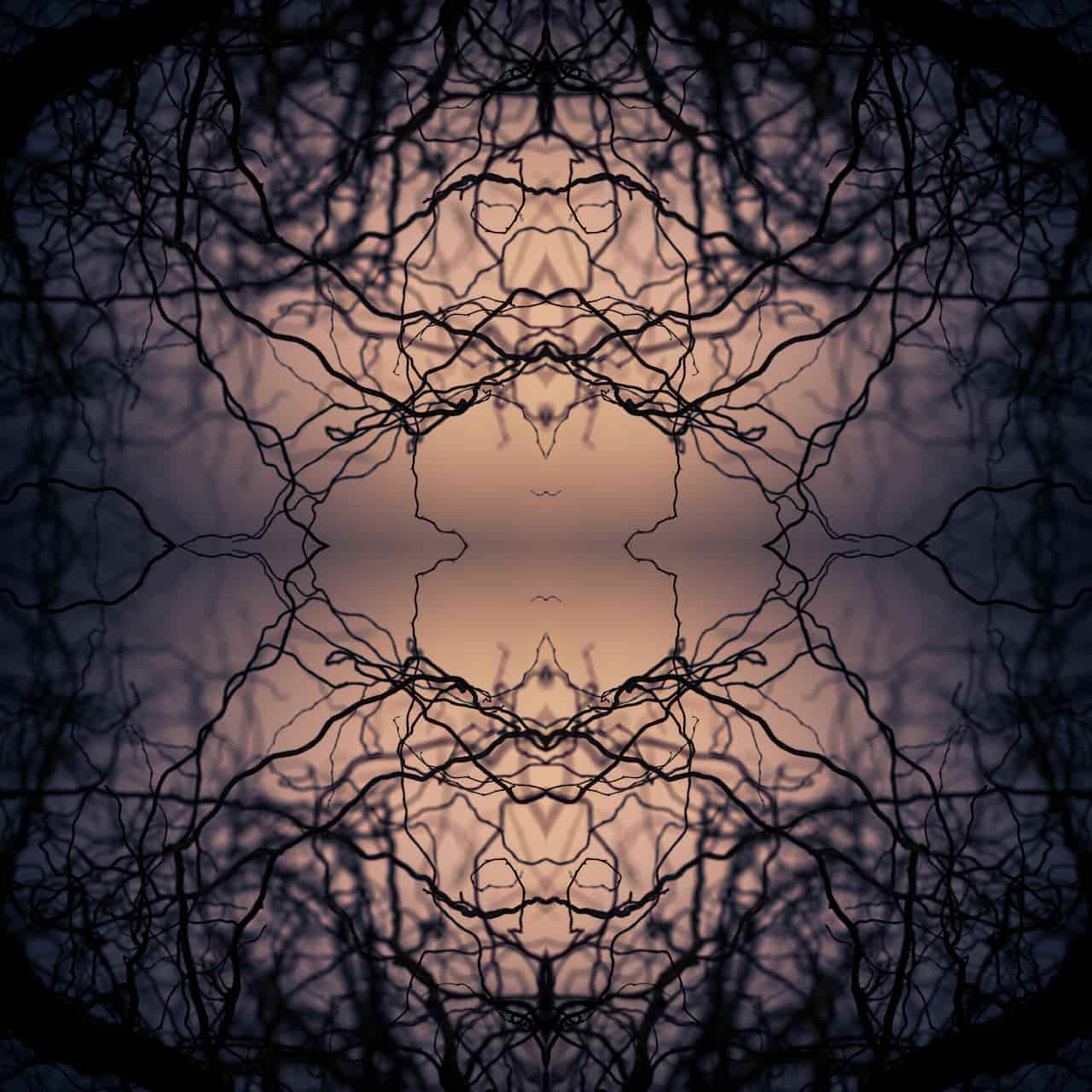 Pitfalls & Barriers • LonerWolf Shop