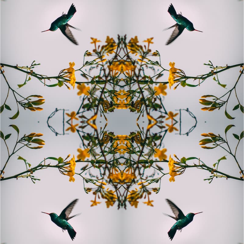 Sincere & Simple • LonerWolf Shop