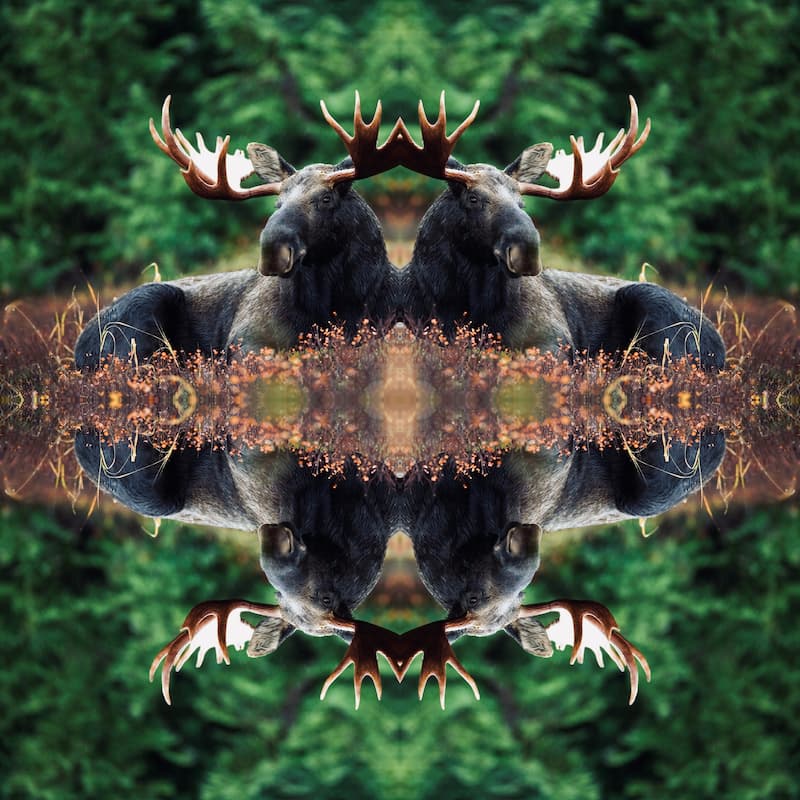 Integrity & Inner Truth • LonerWolf Shop