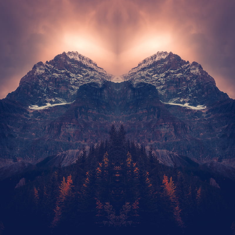 Higher Purpose • LonerWolf Shop