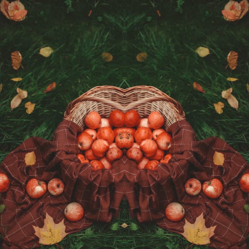 Give From an Open Heart • LonerWolf Shop