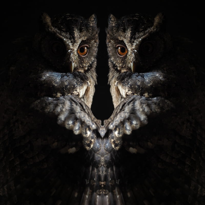 The Gift of Waiting • LonerWolf Shop