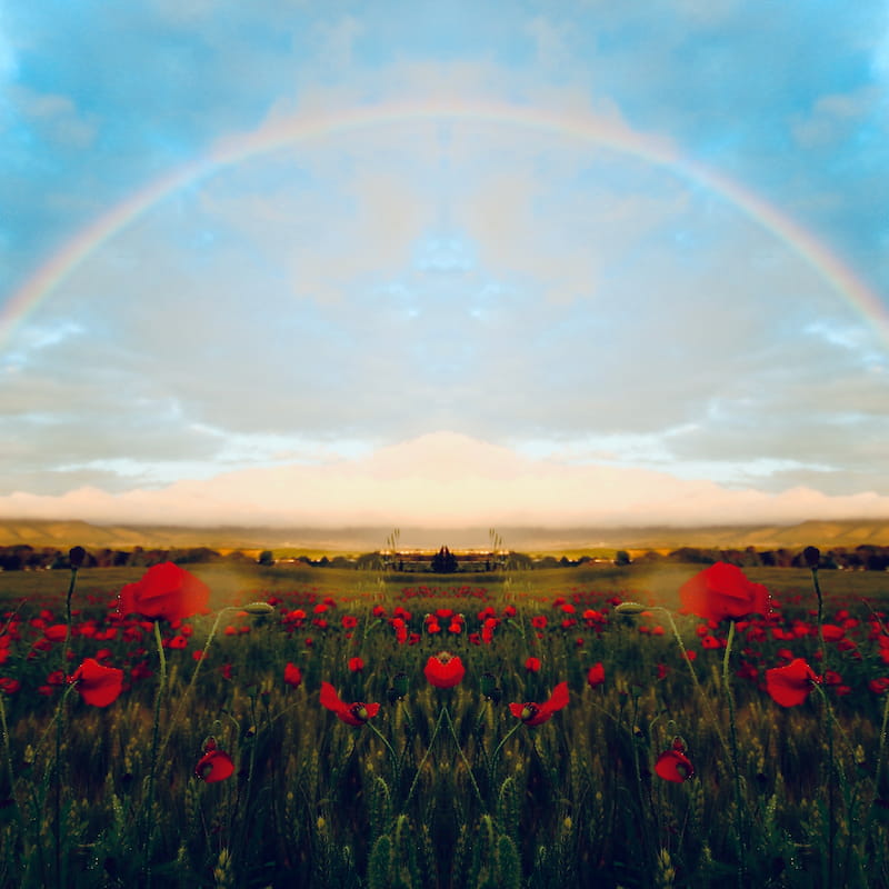 Integrating Polarities • LonerWolf Shop