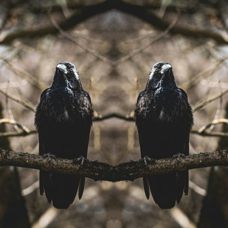 Releasing Old Baggage • LonerWolf Shop