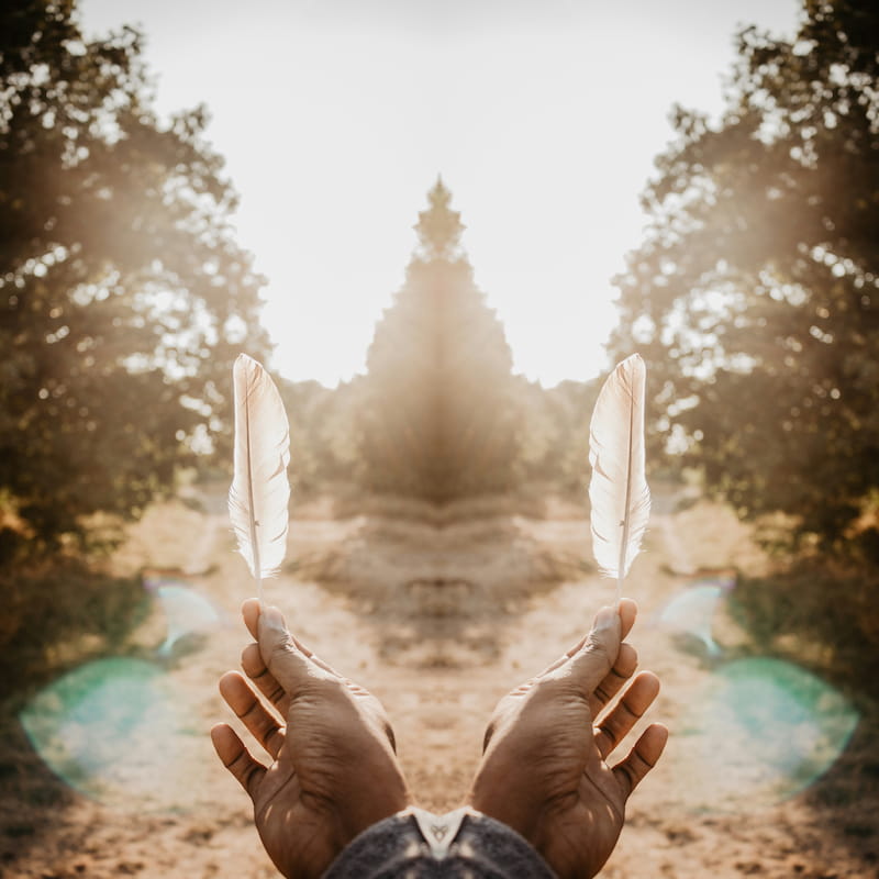 Lighten the Load! • LonerWolf Shop