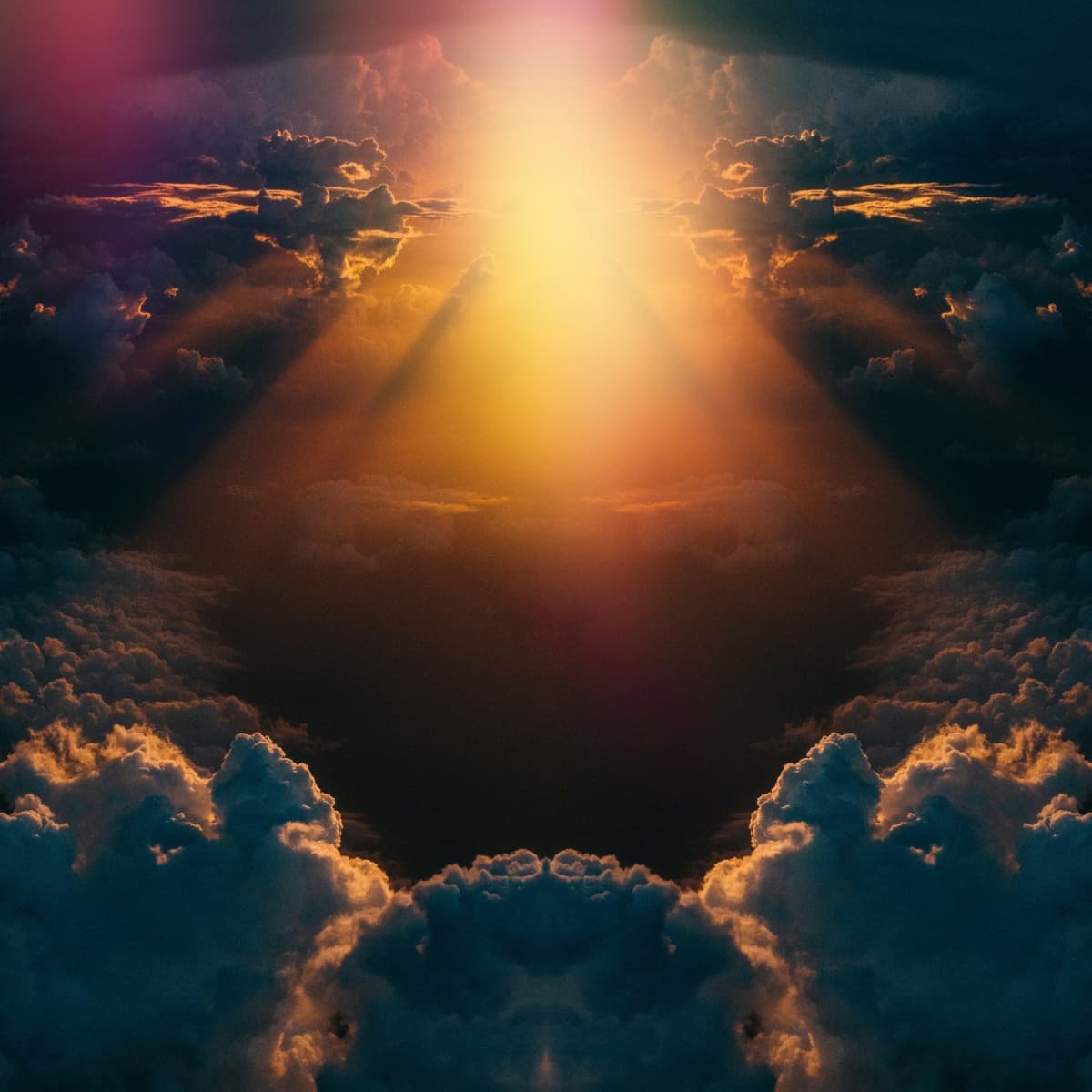 Illuminated Insight • LonerWolf Shop